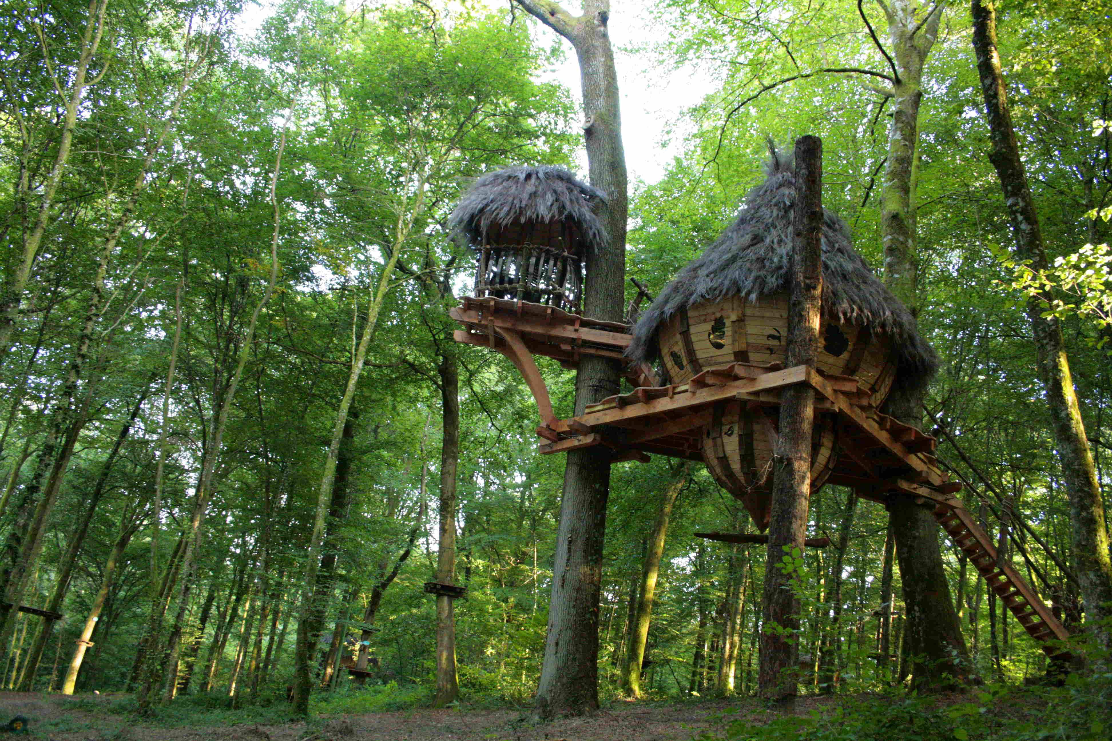 Cabane Dromen – L’Arbre à Cabane : Cabane dans les arbres en Champagne ...