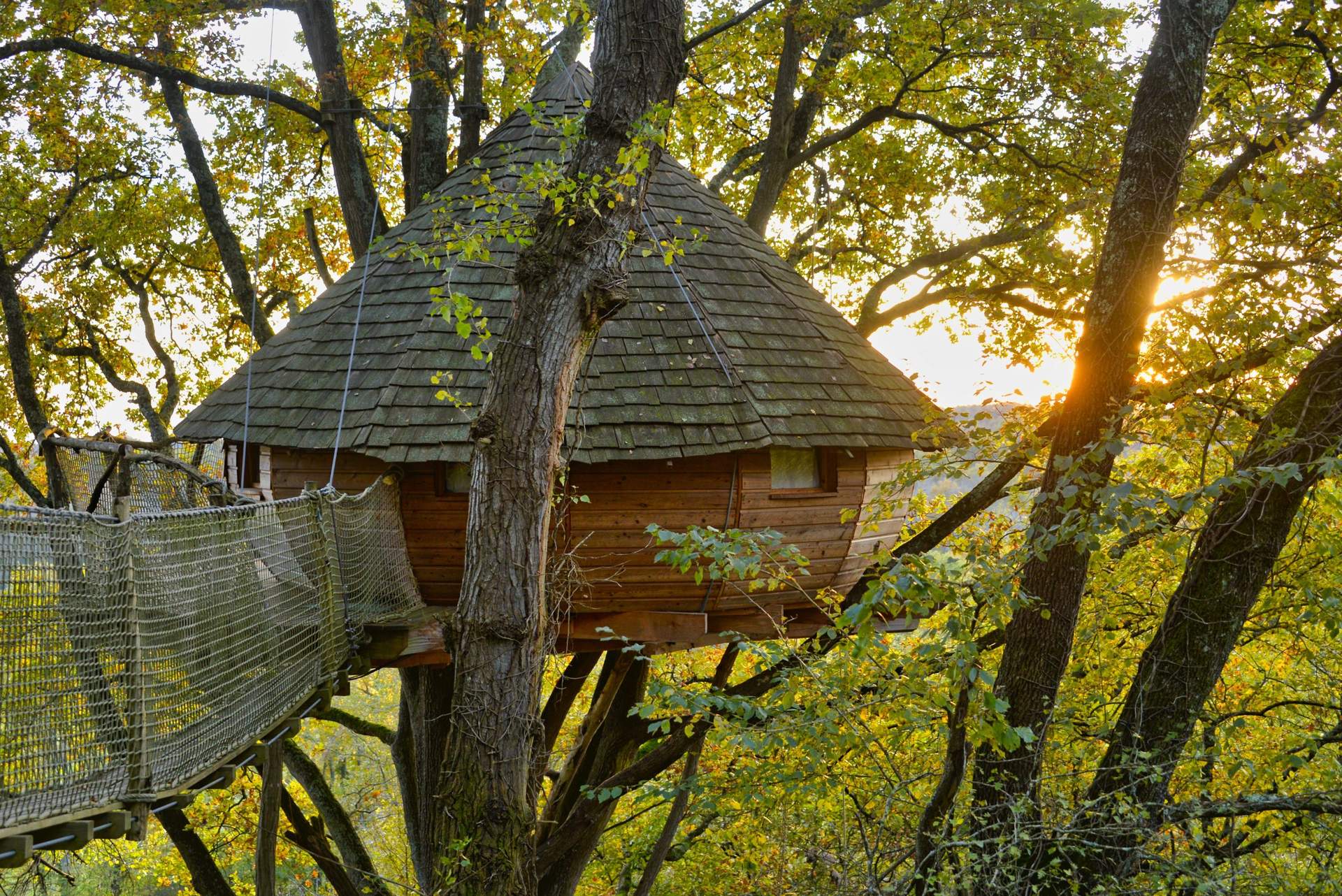 Cabane Arbre Cabane