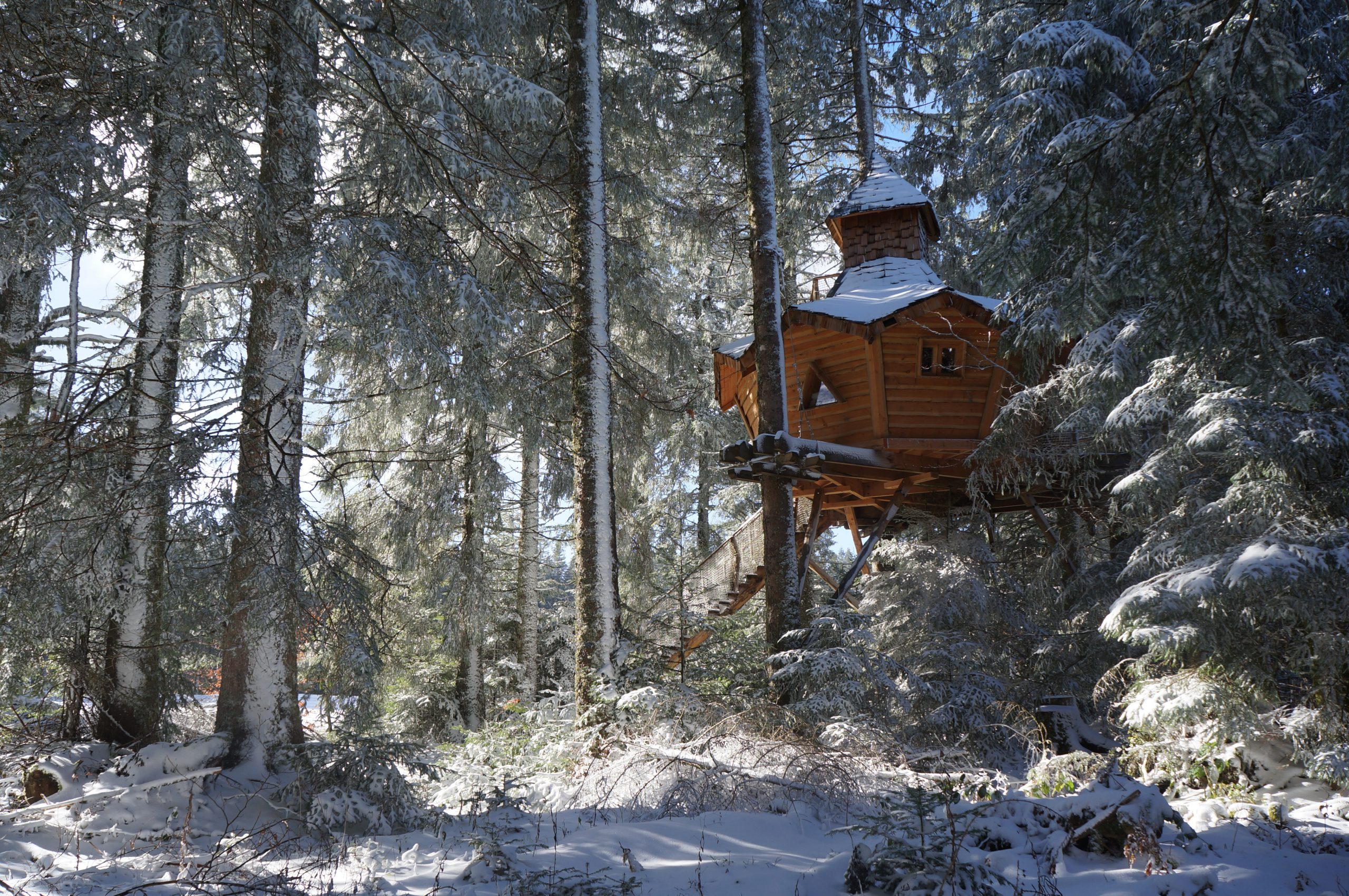 Idée originale pour fêter Noël : organiser un séjour insolite en pleine ...